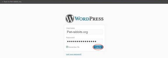  How To Access WordPress Admin Panel 